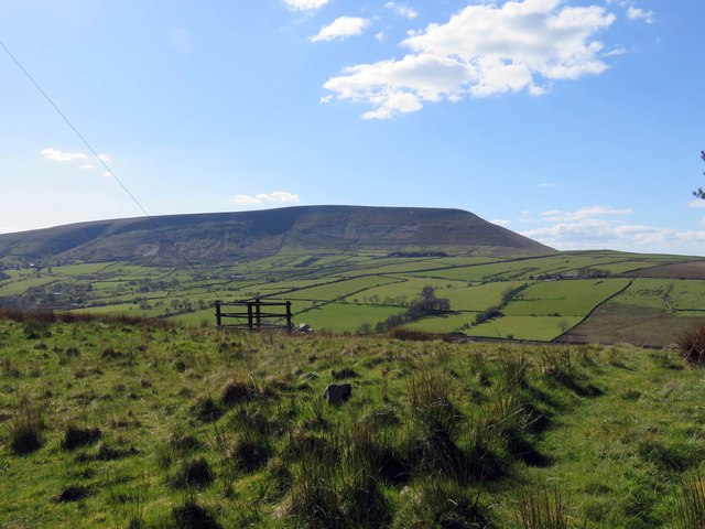 [Fiction] The Treacle Tree — Cathy Browne – New Critique